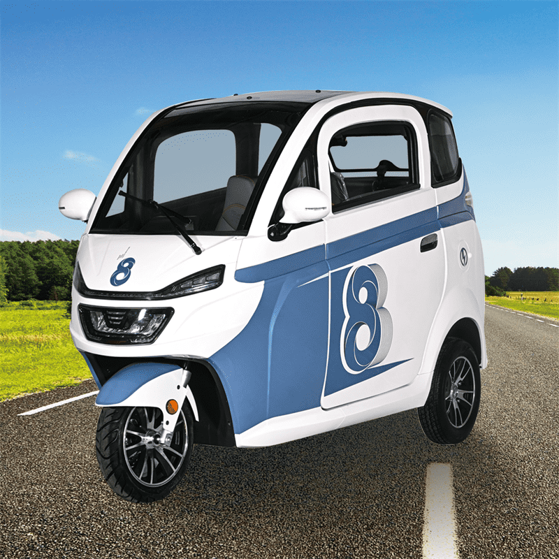 China CE Certificate China EEC Electric Tricycle Elder Man Car ...