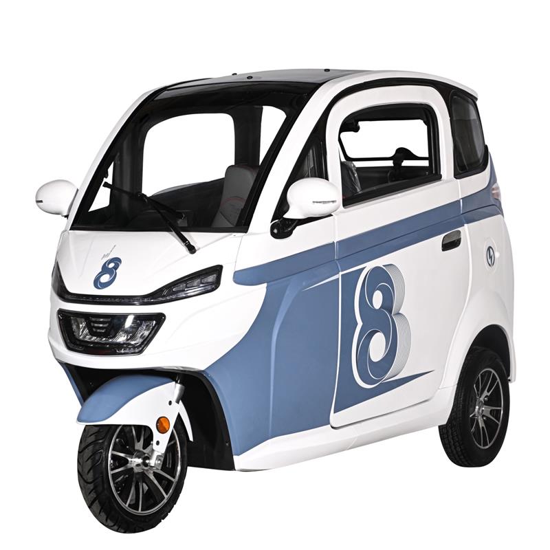 China New Arrival China China 3 Wheel Electric Cargo Tricycle/Battery ...